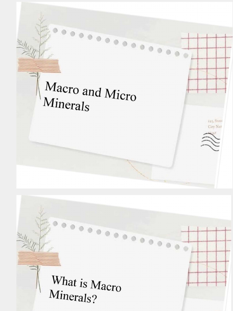Macro y Micro Minerales | PDF | Alimentos | sal