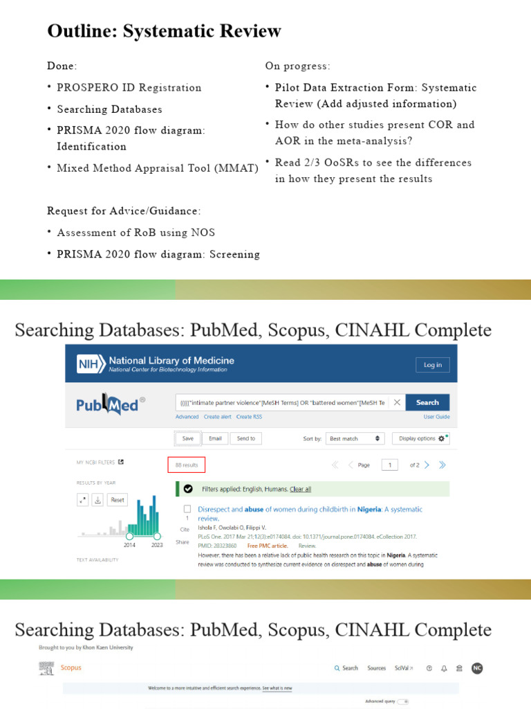 Systematic Review Process Guide | PDF | Business | Computers