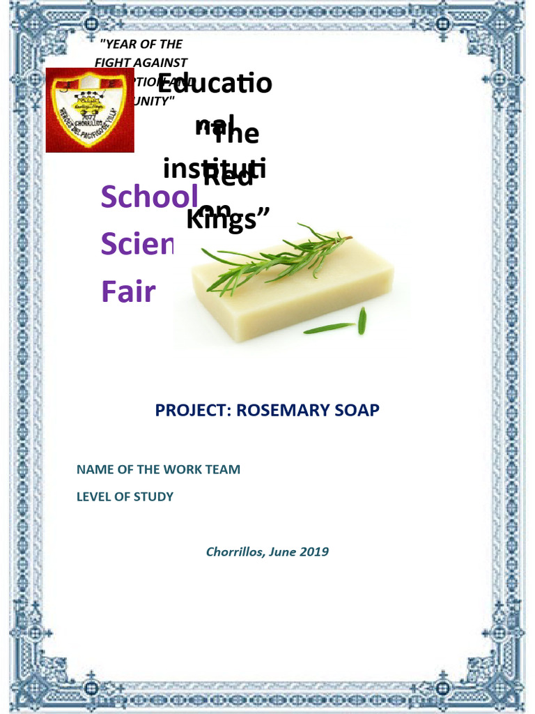 Soap Project | PDF | Dermatitis | Allergy