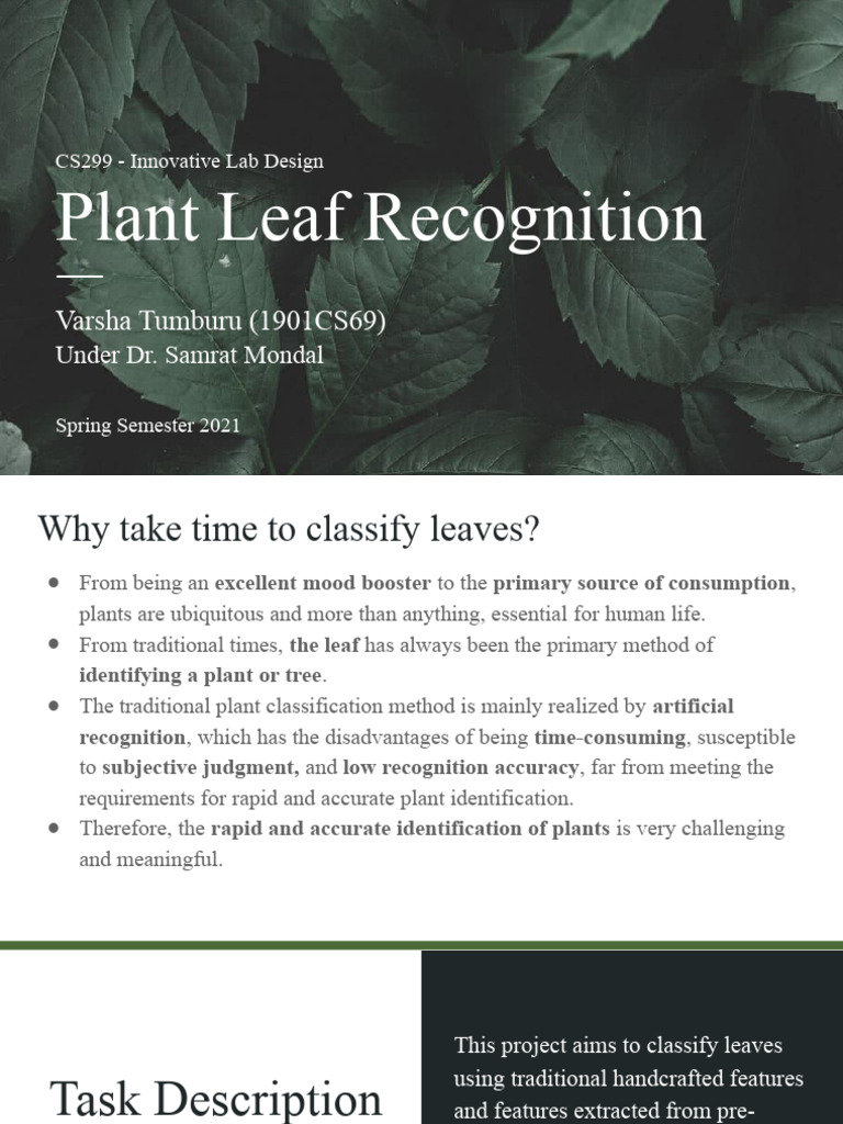 Plant Leaf Recognition | PDF | Learning | Cognitive Science