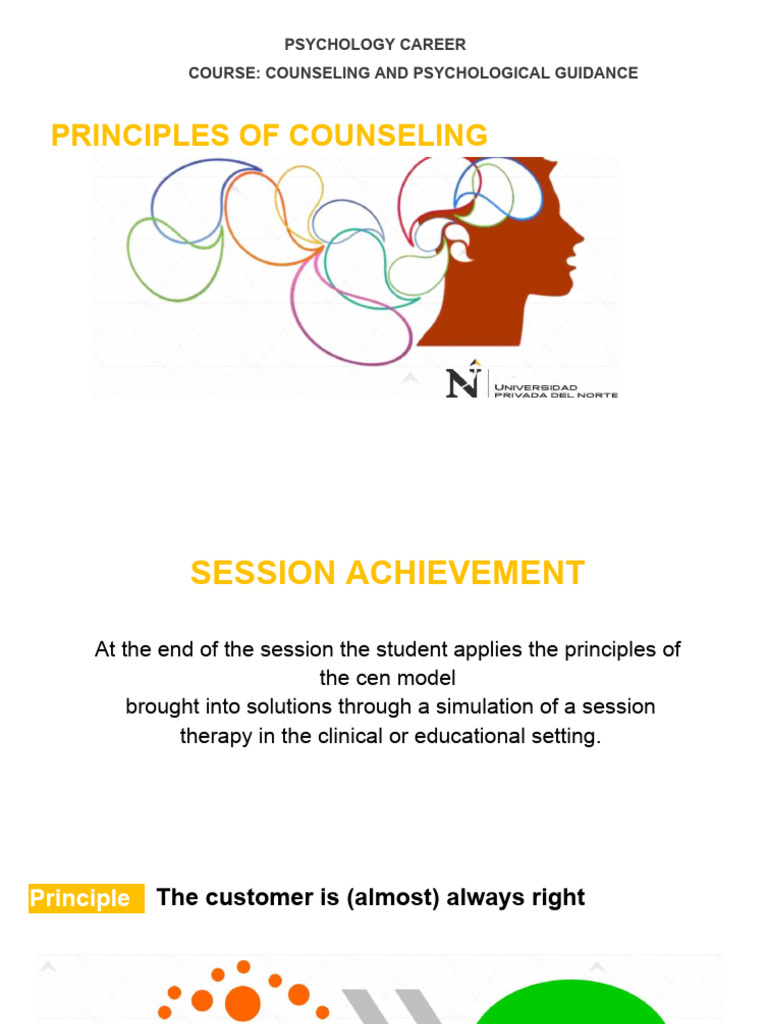 Principles of Counseling - S3 | PDF | Counseling Psychology | Psychotherapy