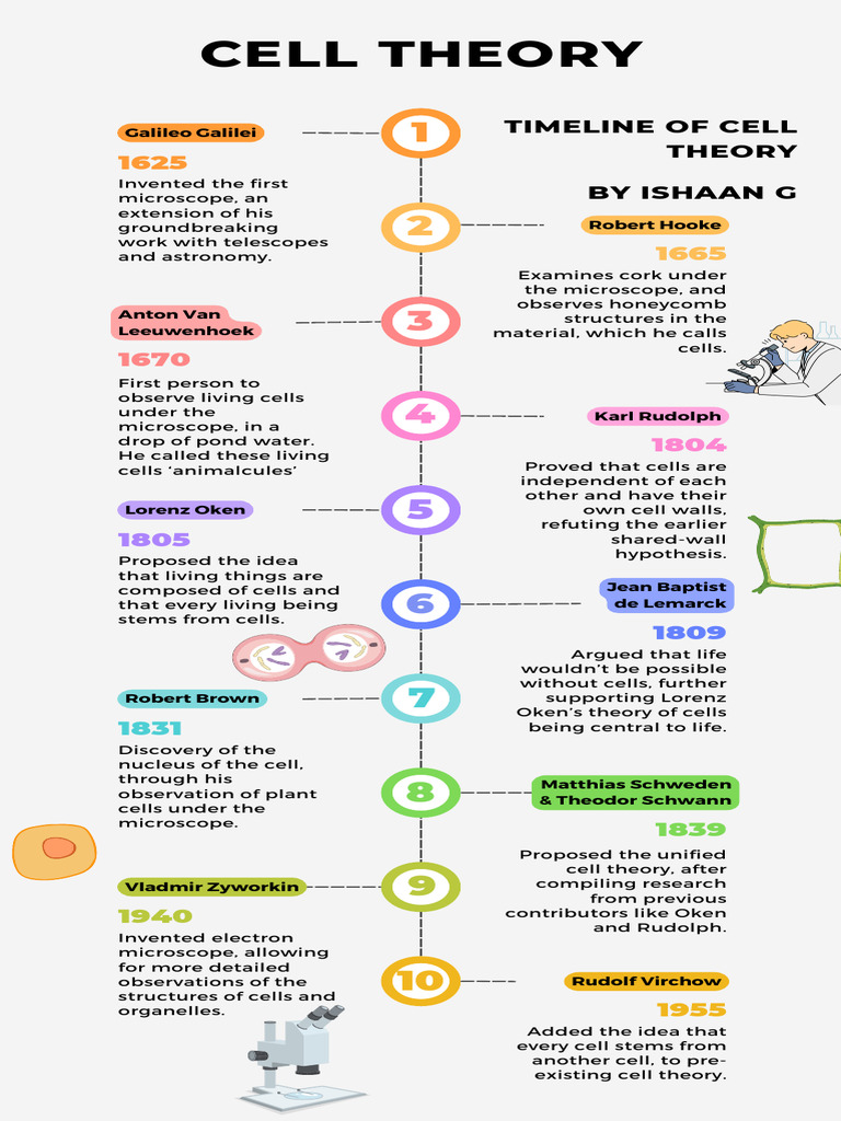Timeline of Cell Theory Discoveries | PDF | Cell (Biology) | Biology