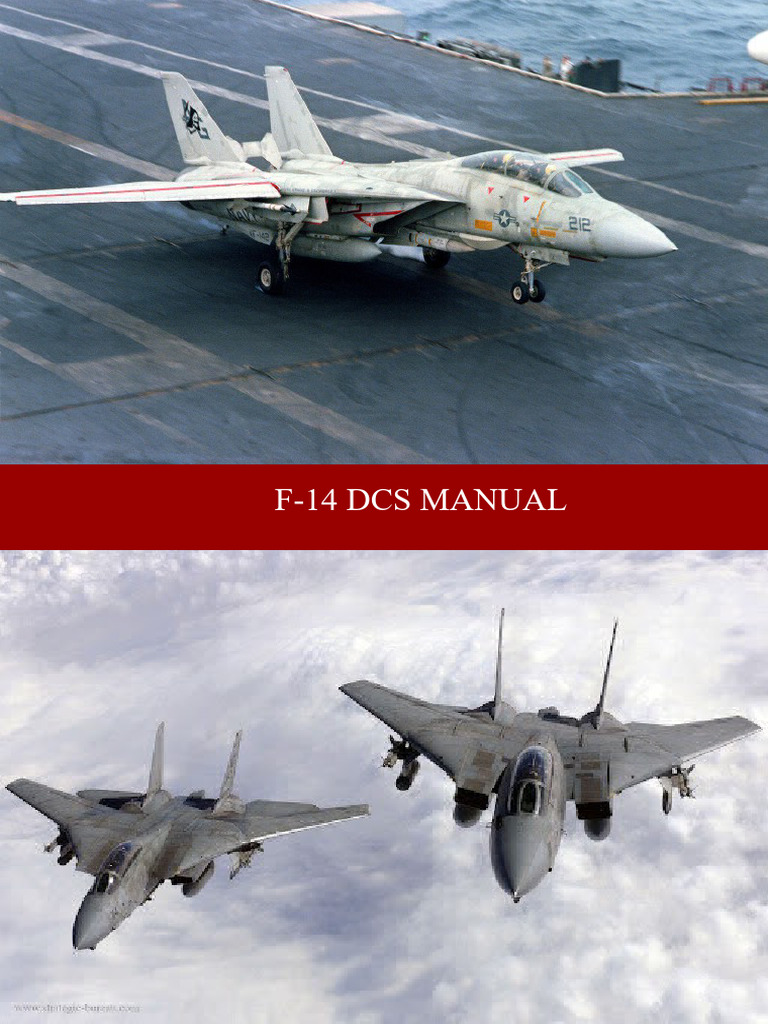 F-14 Dcs Manual | PDF