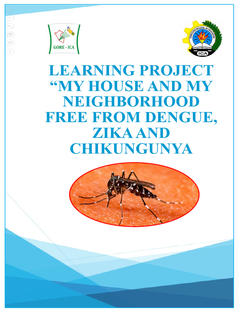 Initial Dengue Learning Project Ok | PDF | Zika Virus | Information
