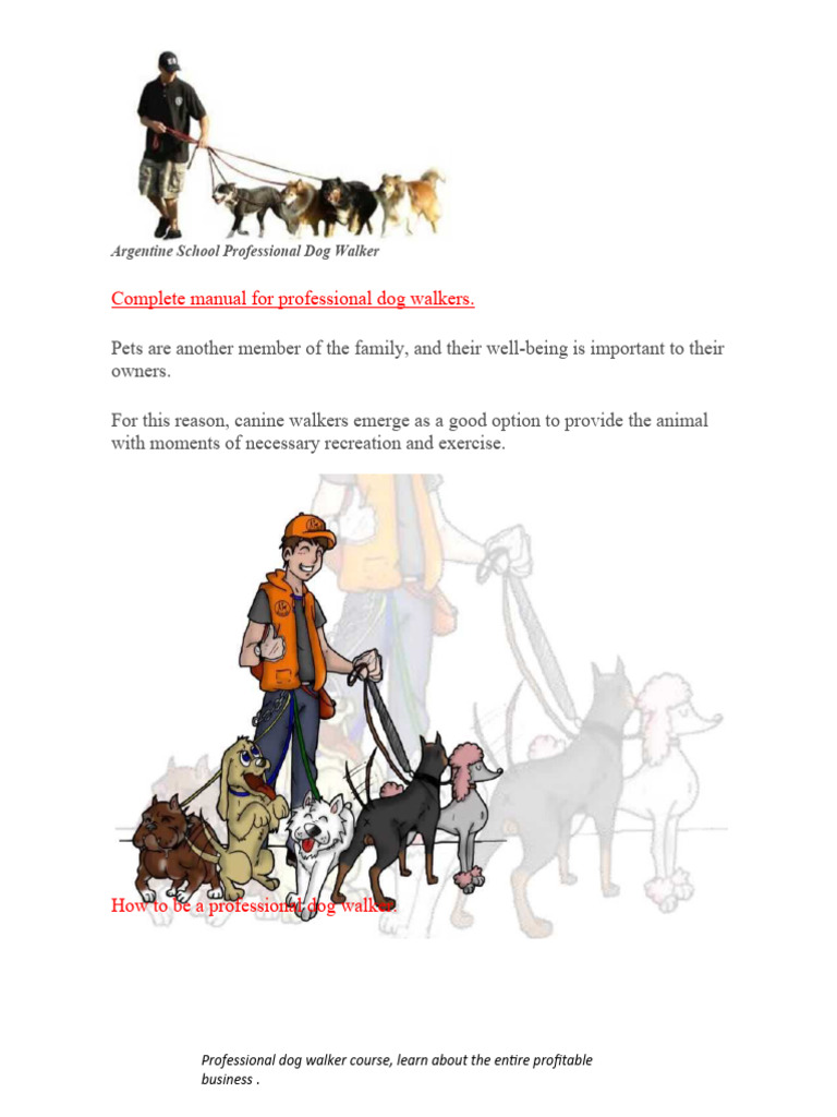 Dog Walker Manual | PDF | Dogs | Animals And Humans