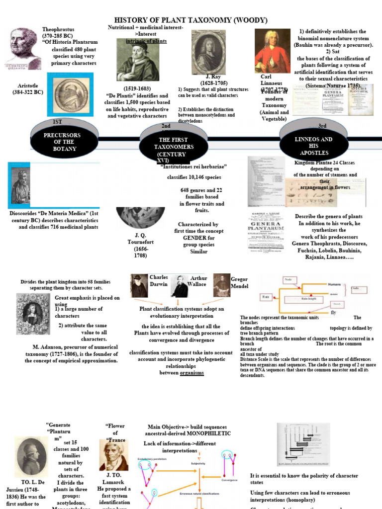 1 History of Taxonomy | PDF | Taxonomy (Biology) | Plants