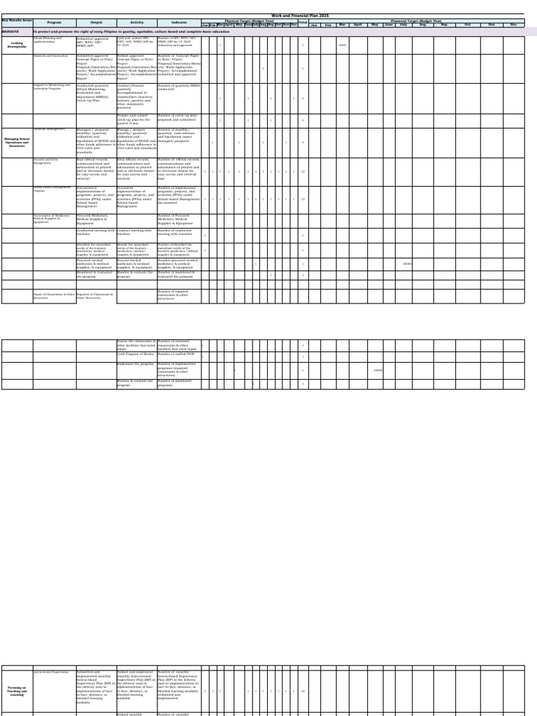 2025 Work and Financial Plan Overview | PDF | Reading Comprehension ...