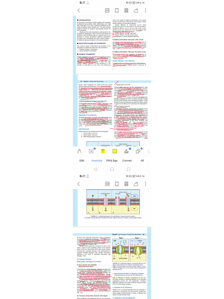 Passive Transport | PDF