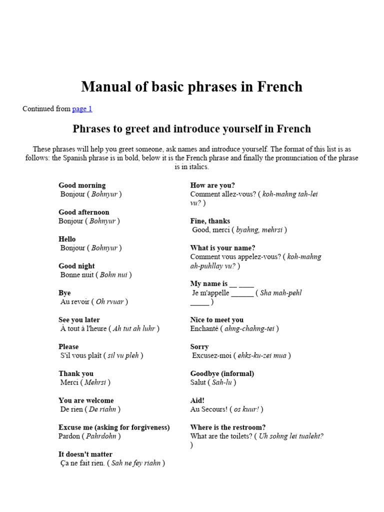 Basic French Phrases Guide | PDF