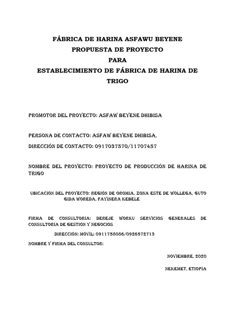 Fábrica de Harina Asfaw Beyene: Proyecto Propuesto de Producción de ...