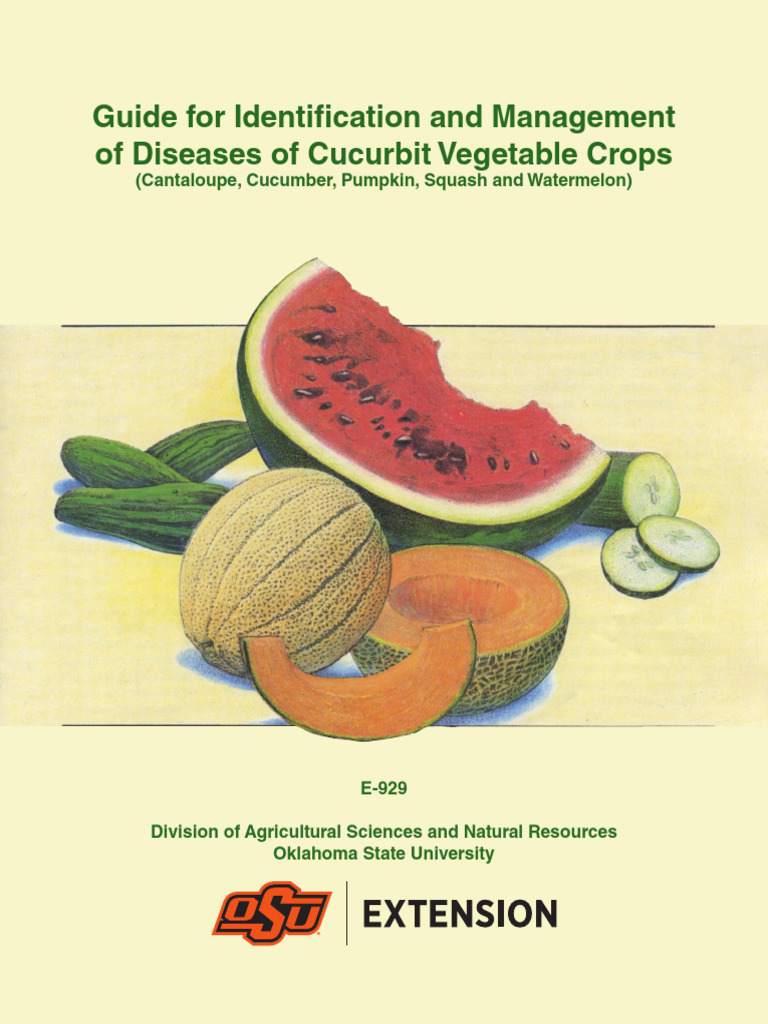 Guide For Identification and Management of Diseases of Cucurbit ...