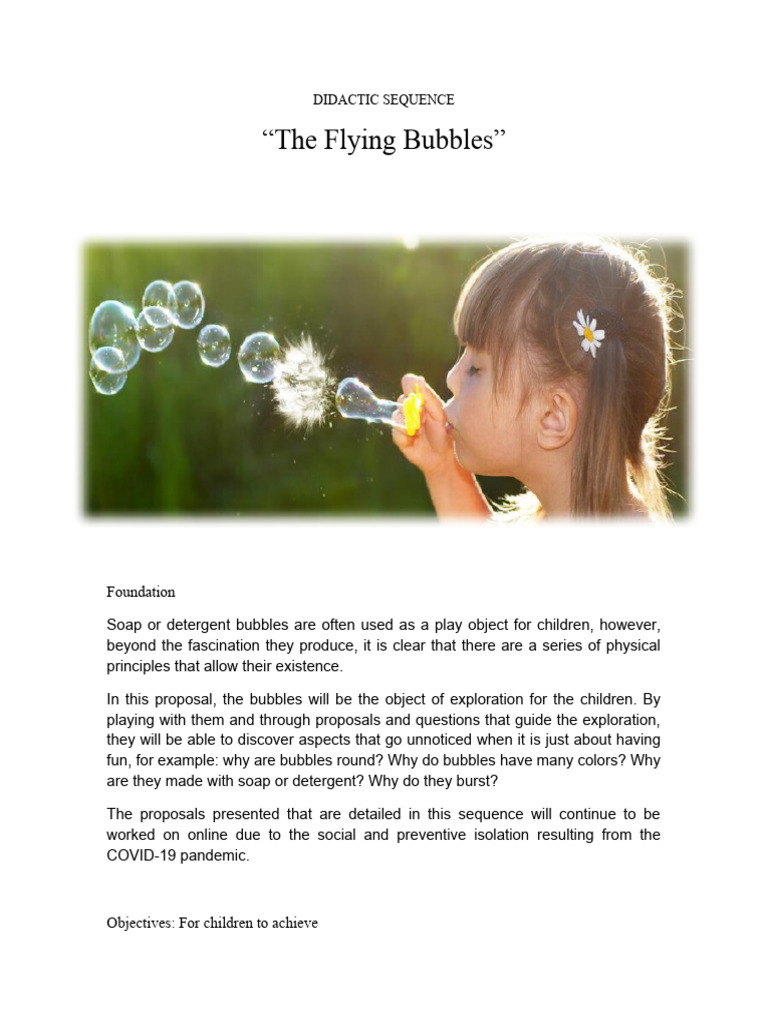 Bubbles Didactic Sequence | PDF