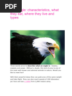 Overview of Eagle Taxonomy and Species | PDF