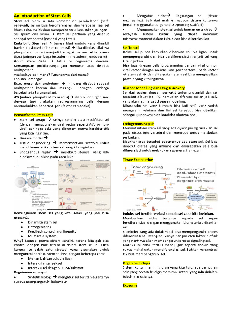 An Introduction Of Stem Cells Pdf