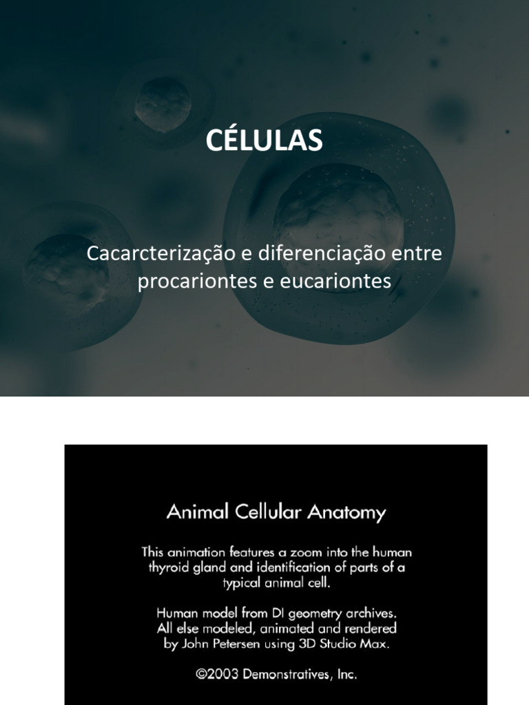 CÉLULAS | PDF | Célula (Biologia) | Eucariotas