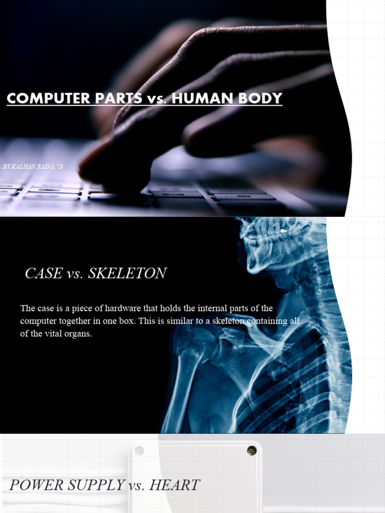 Computer Parts and Human Body | PDF | Technology & Engineering