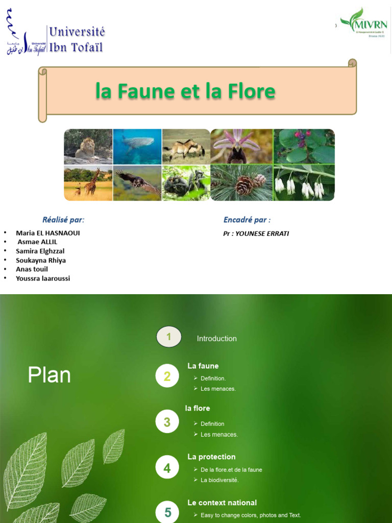 Biodiversité au Maroc : Faune et Flore Menacées | PDF | Conservation de ...