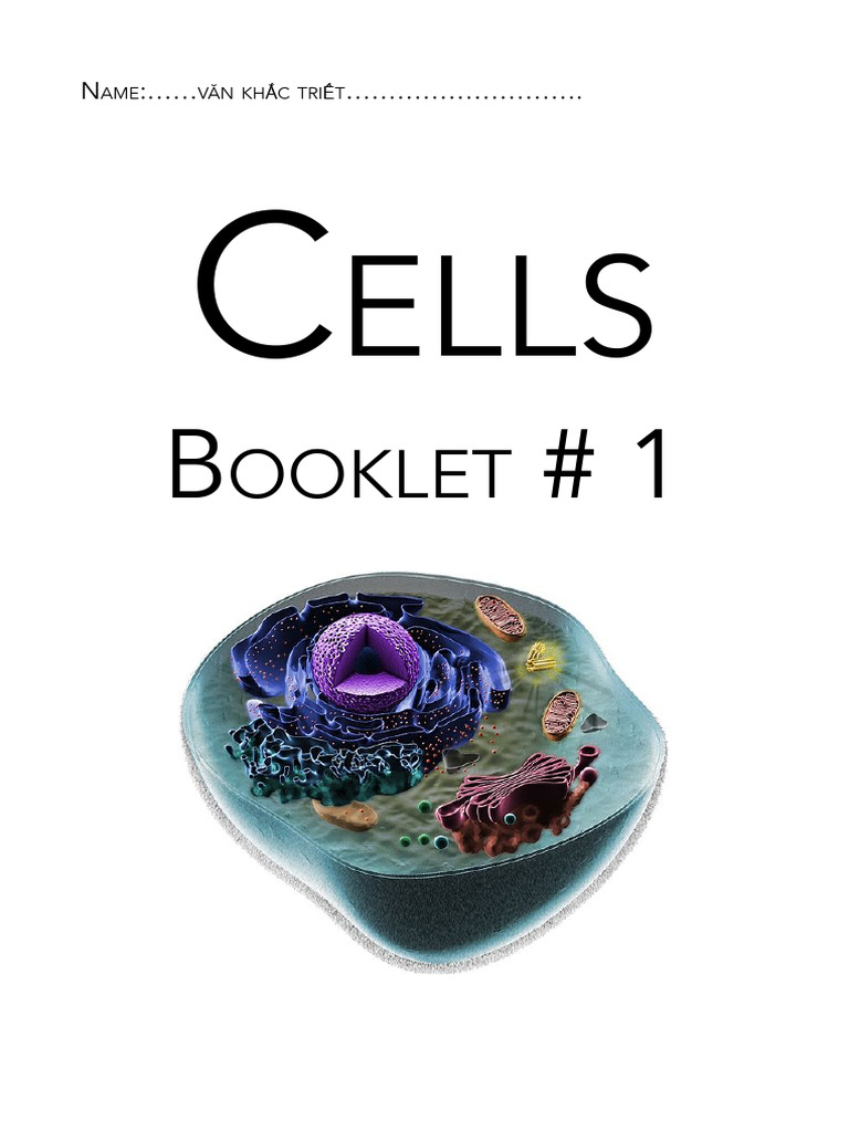 Microscopes and Cells Booklet - Student | PDF | Cell (Biology) | Microscope