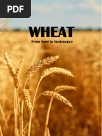 Wheat Flower Biology and Structure | PDF