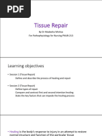 Phases of Tissue Repair Explained | PDF | Wound Healing | Extracellular ...