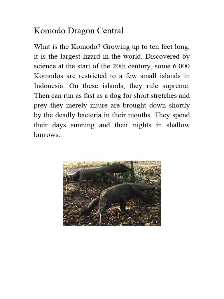 Komodo Dragon Facts and Habitat | PDF | Travel