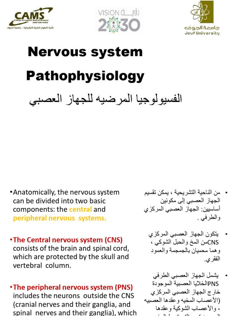 Nervous system patho | PDF