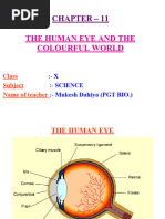 Human Eye Anatomy and Vision Defects | PDF | Eye | Human Eye