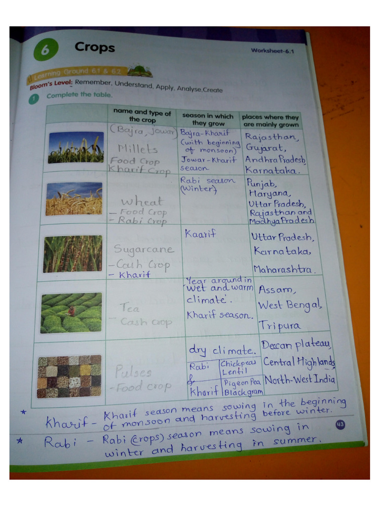 L. 6 Crops Workbook Exercises | PDF