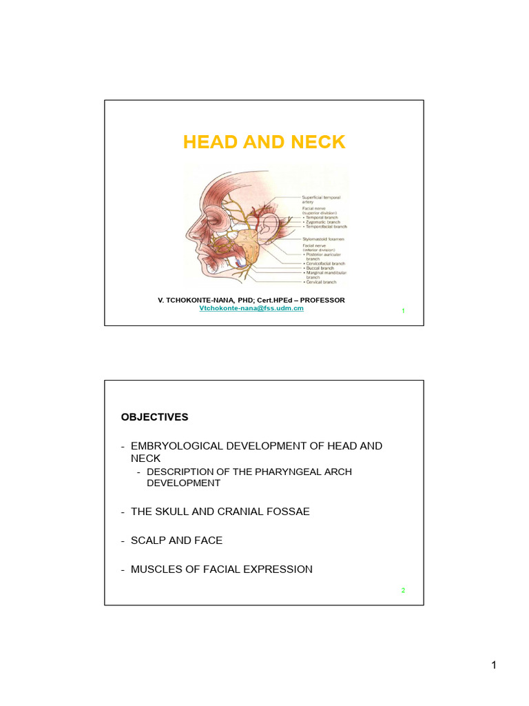 Anatomy Head Neck Face - 2024 | PDF | Skull | Human Anatomy