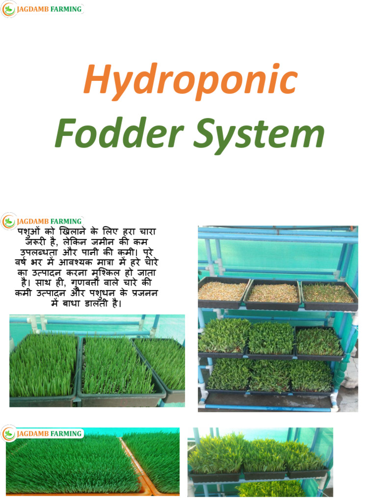 Fodder Training Hindi | PDF