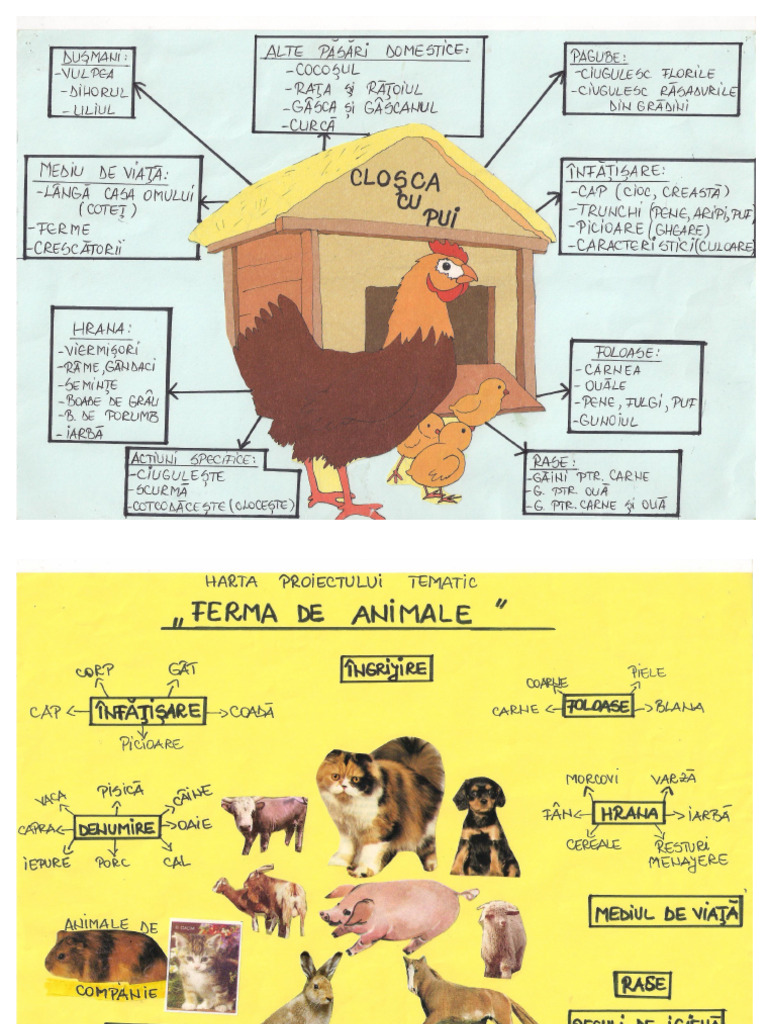Pasari Animale | PDF