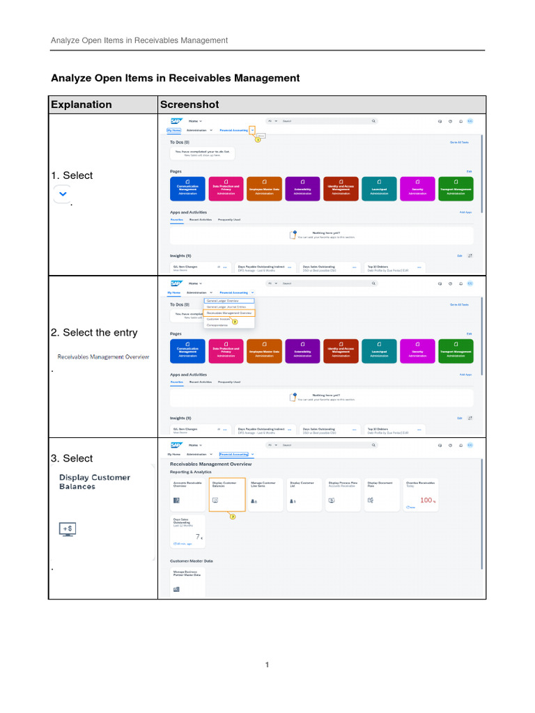 Display Customer Balance & Manage Customer Line Items Fiori Apps | PDF ...