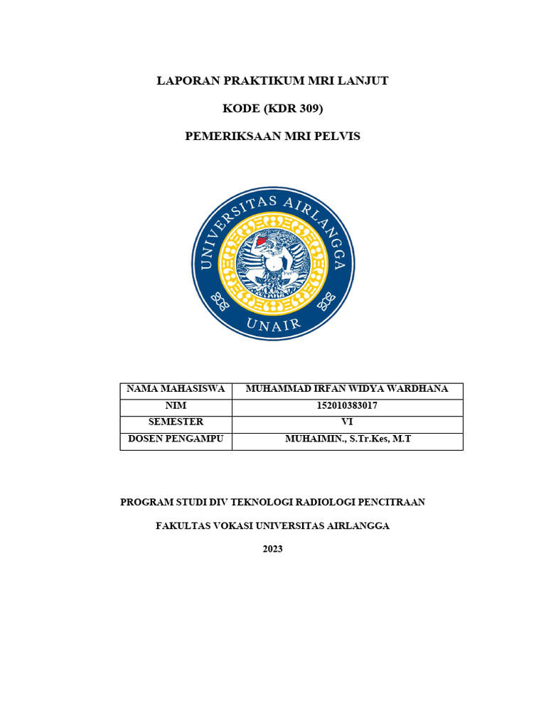 MRI Pelvis Irpan | PDF | Kesehatan Holistik