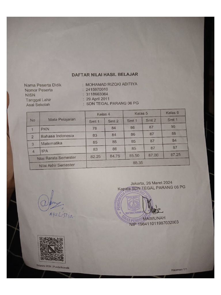 PDF SiDANIRA Riski | PDF