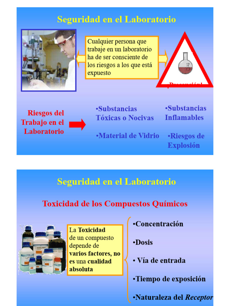 Practica 1 Seguridad en El Laboratorio | PDF | Toxicidad | Toxicología