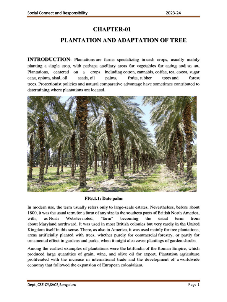 Final Report SCR Aksh 1 | PDF | Organic Farming | Plantation