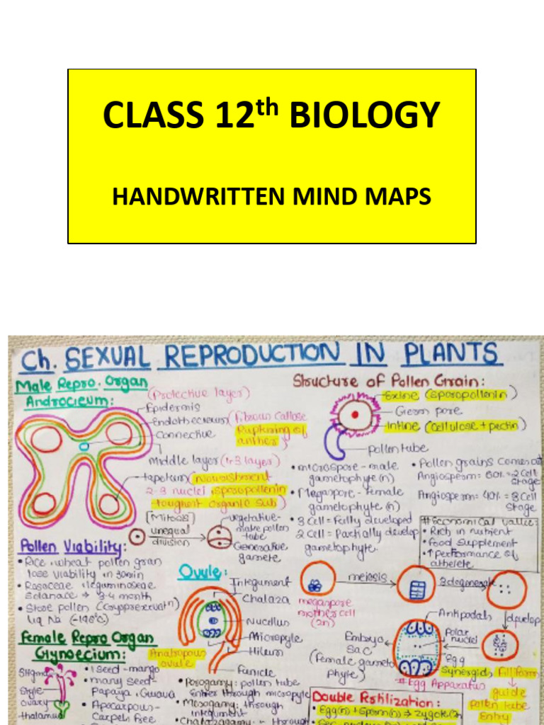 Class 12 Biology Handwritten Mind Maps | PDF