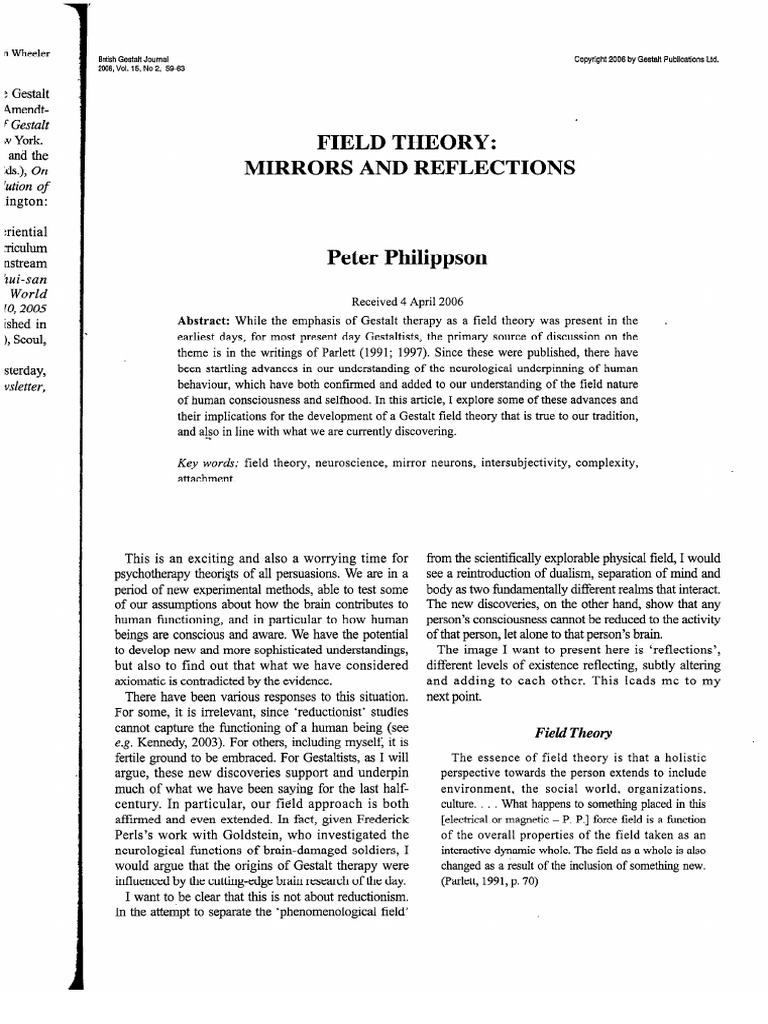 Field Theory - Mirrors and Reflections - Philippson - (2006) | PDF