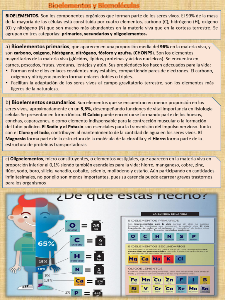 Bioelementos y Biomoleculas | PDF | Biomoléculas | Organismos