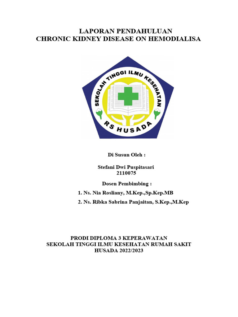 Stefani LP CKD On HD | PDF