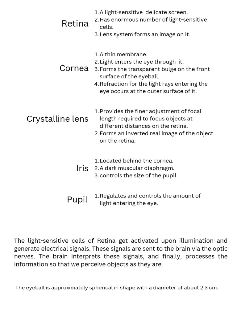 Human Eye Notes (Class 10) | PDF | Eye | Sunset