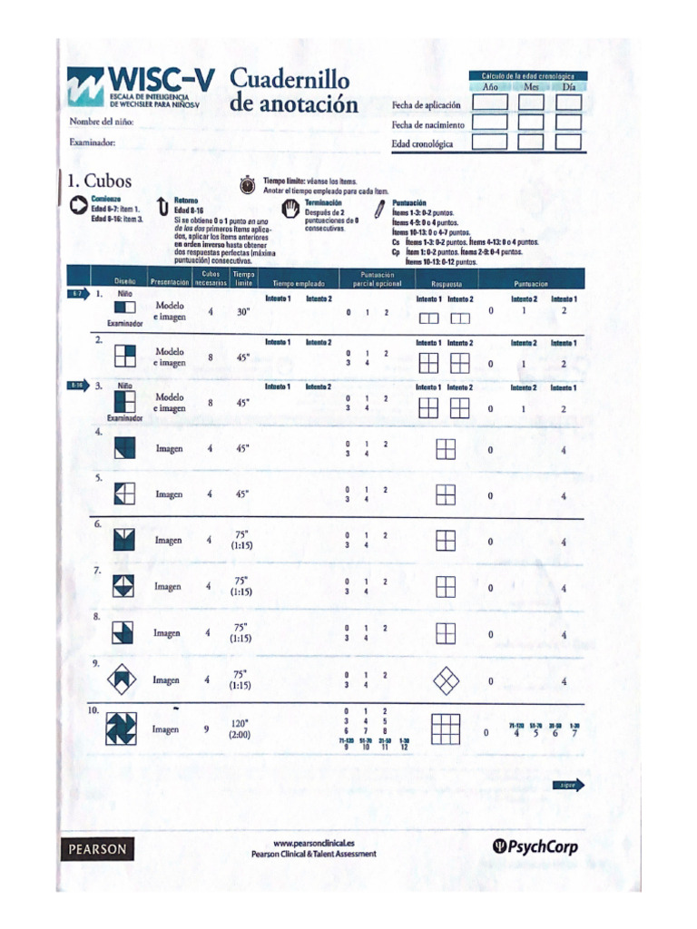 Cuadernillo de Anotaciones Wisc | PDF