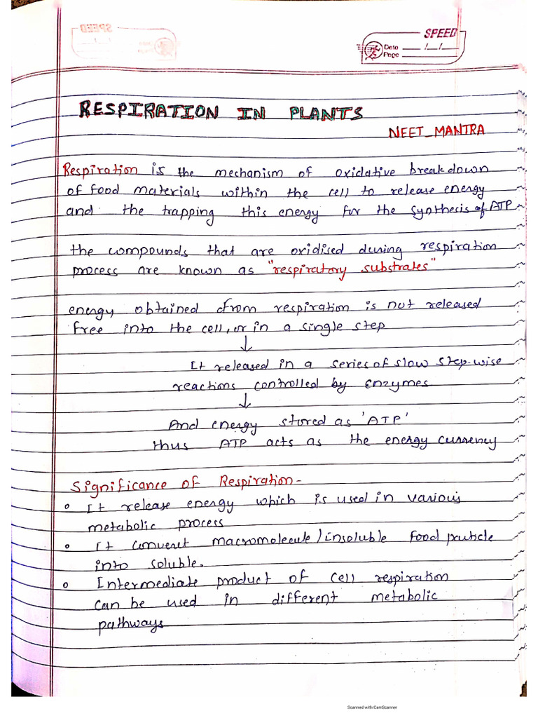 Respiration in Plants | PDF