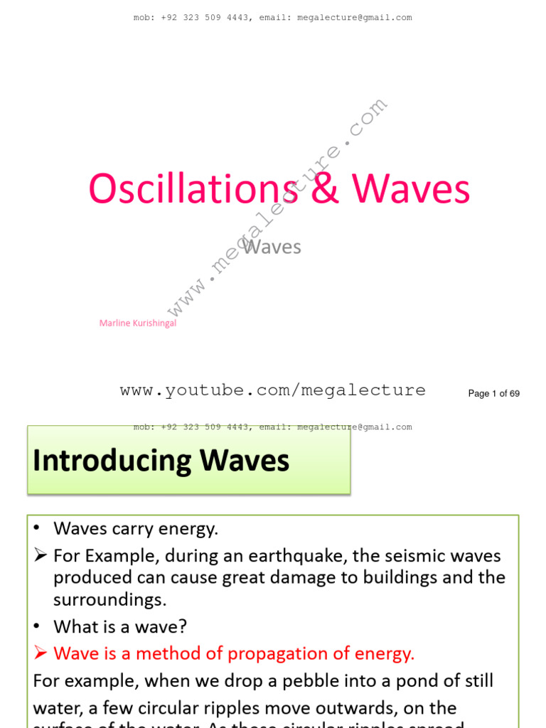 14 Waves | PDF | Polarization (Waves) | Waves