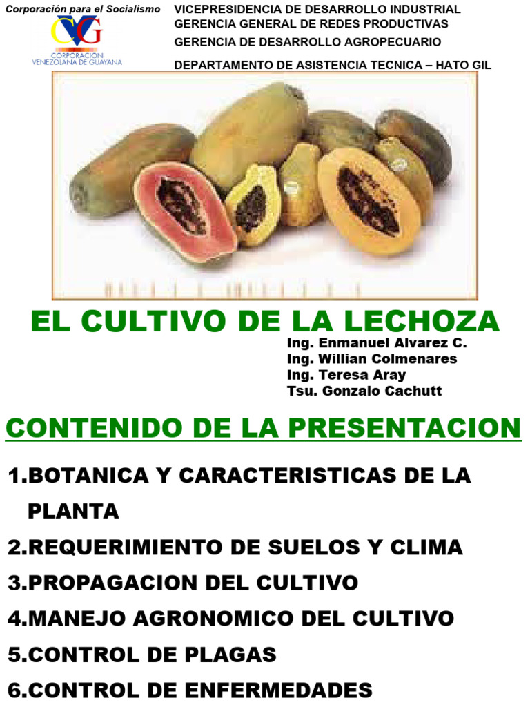 Cultivo Lechoza | PDF