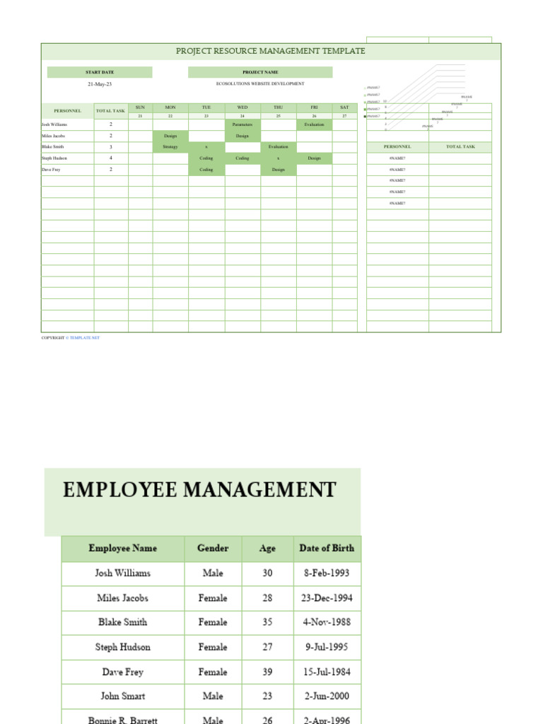 Resource Management Template | PDF