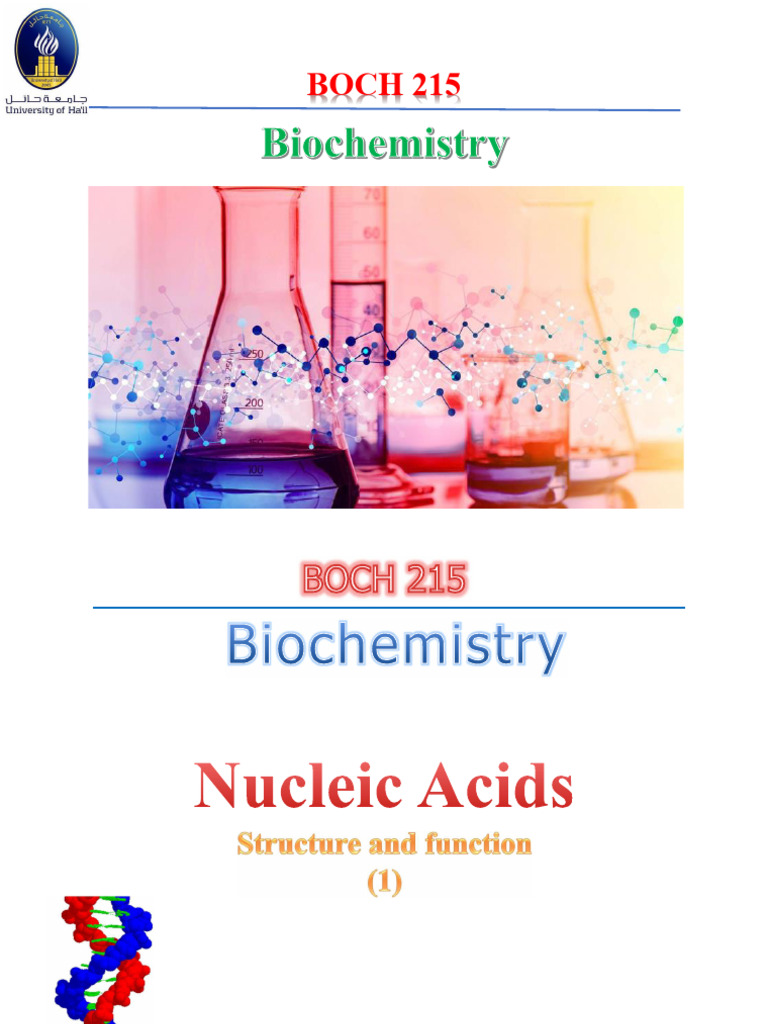 4 - Chapter 4 Nucleic Acids | PDF | Rna | Dna