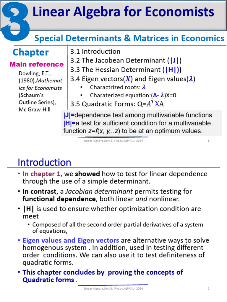 Linear Algebra For Economists (3e) | PDF | Eigenvalues And Eigenvectors | Determinant