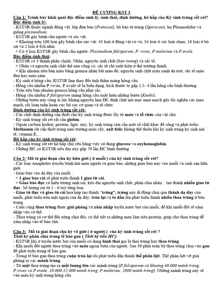 ĐỀ CƯƠNG KST 3 | PDF