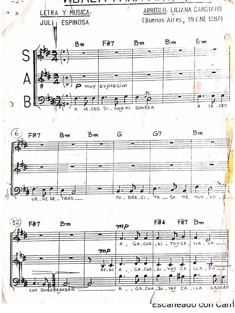 Vidala Para Mi Sombra | PDF